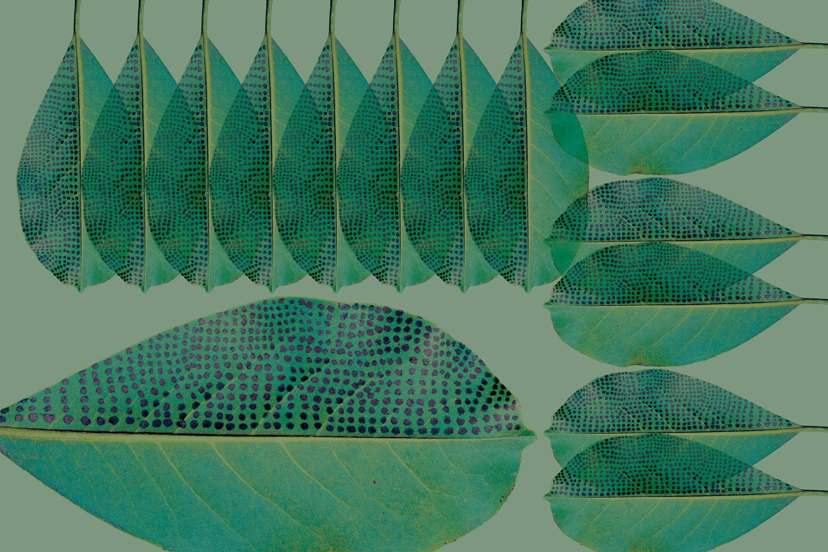 koroseal - Digital Solutions